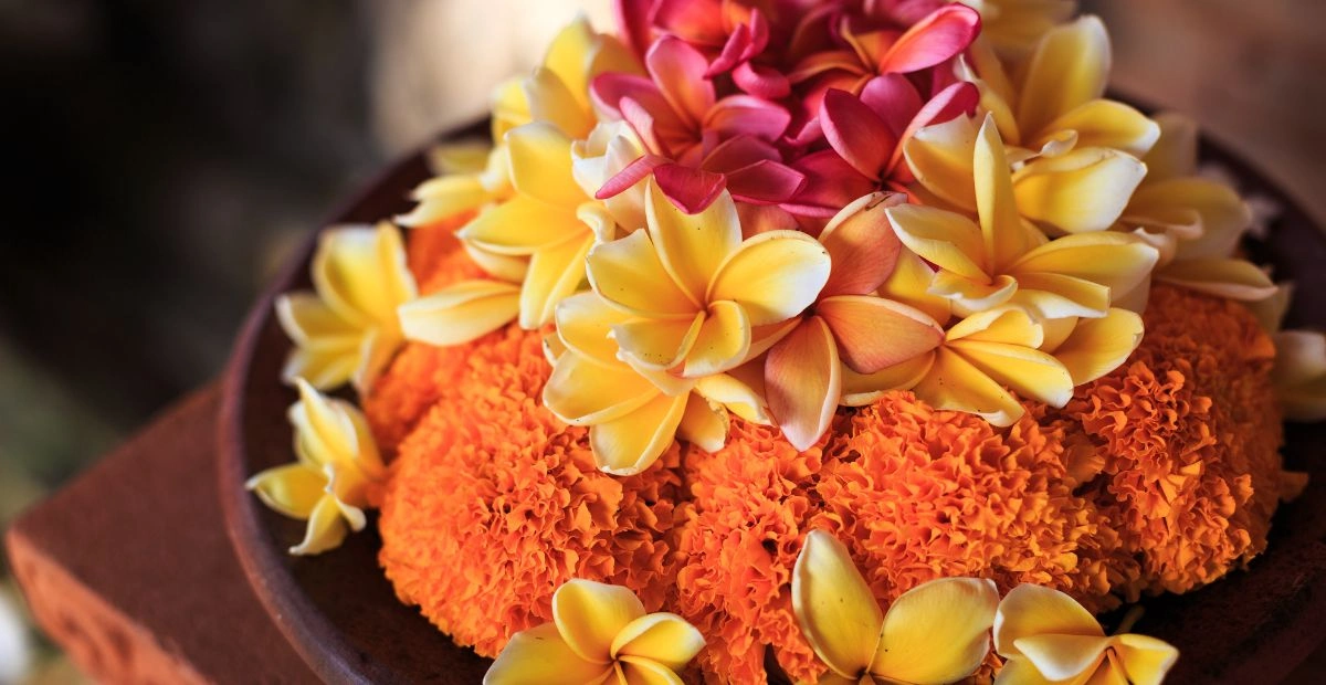 Home - Lembongan Beach Club and Resort